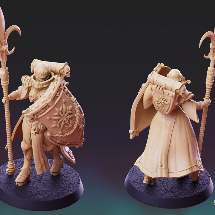 3D Printable Divine Order - Shieldmaiden Bundle + Pinups by PSMiniatures