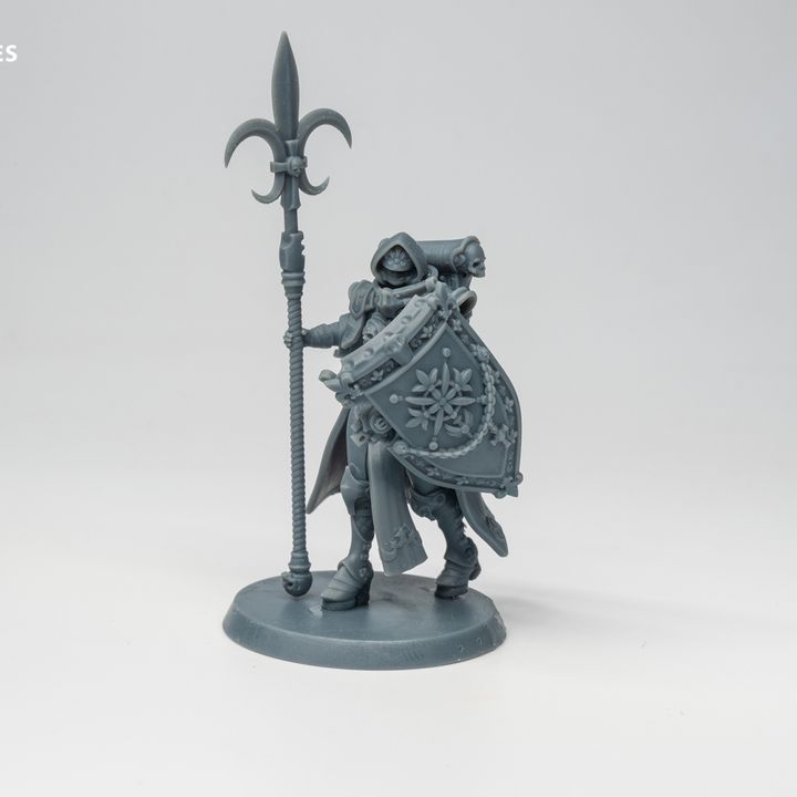 3D Printable Divine Order - Shieldmaiden Bundle + Pinups by PSMiniatures