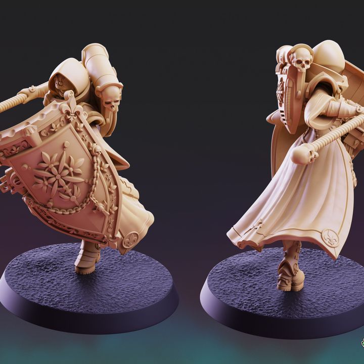 3D Printable Divine Order - Shieldmaiden Bundle + Pinups by PSMiniatures