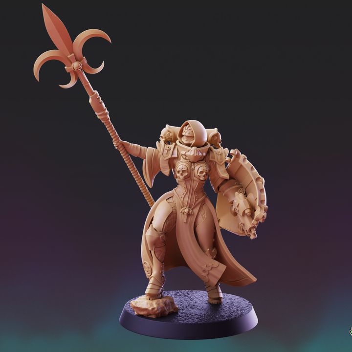 3D Printable Divine Order - Shieldmaiden Bundle + Pinups by PSMiniatures