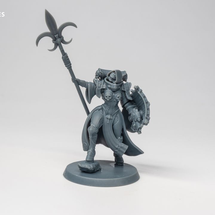 3D Printable Divine Order - Shieldmaiden Bundle + Pinups by PSMiniatures