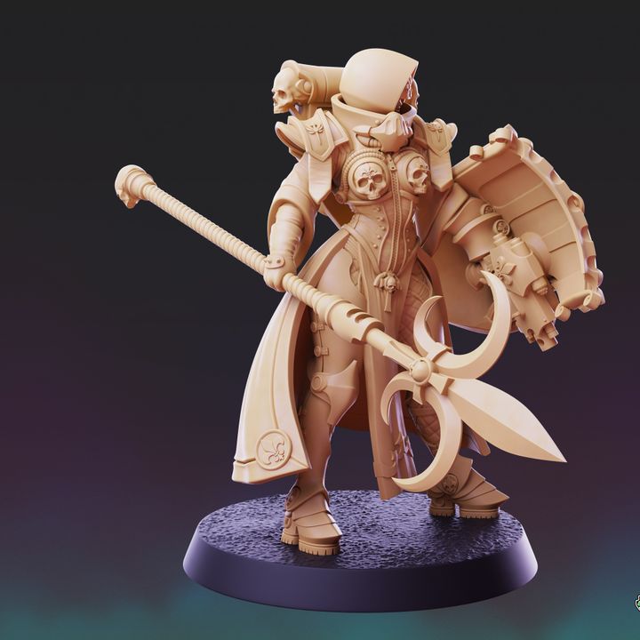 3D Printable Divine Order - Shieldmaiden Pose 1 by PSMiniatures