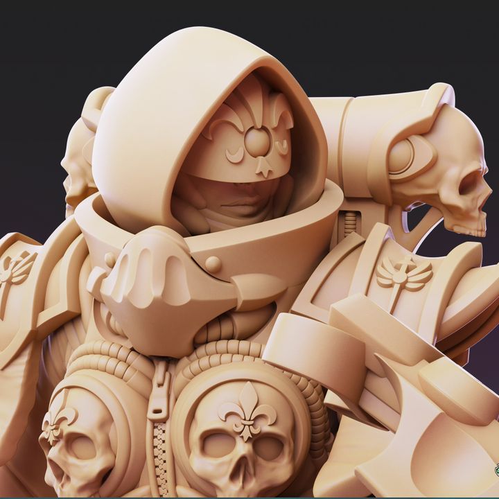 3D Printable Divine Order - Shieldmaiden Pose 1 by PSMiniatures