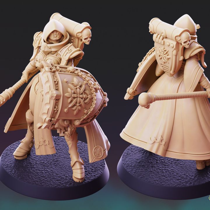 3D Printable Divine Order - Shieldmaiden Pose 1 by PSMiniatures