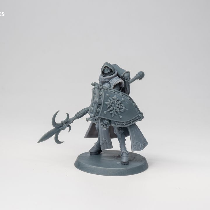 3D Printable Divine Order - Shieldmaiden Pose 1 by PSMiniatures