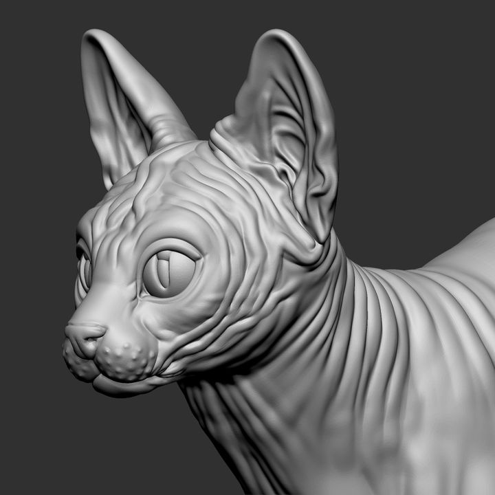 3D Printable Sphynx cat by YD STUDIO