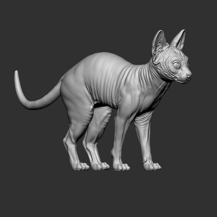 3D Printable Sphynx cat by YD STUDIO