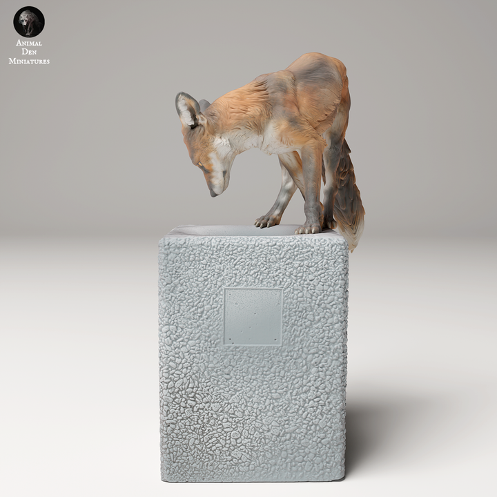 3D Printable Red Fox on Trash by Animal Den Miniatures