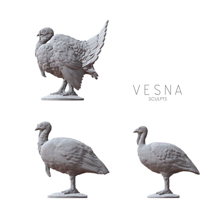 3D Printable TURKEY PACK by VESNA SCULPTS