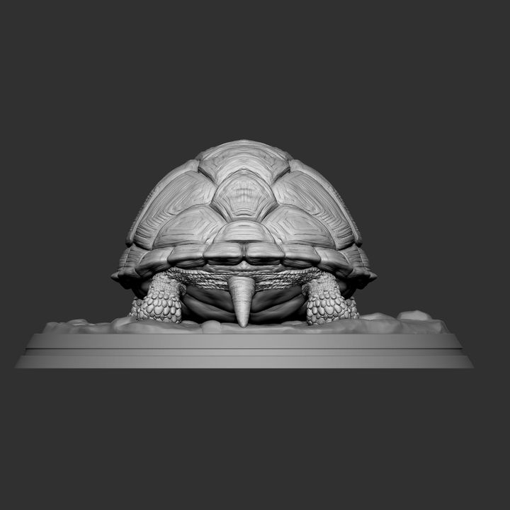 3D Printable Box Turtle by YD STUDIO