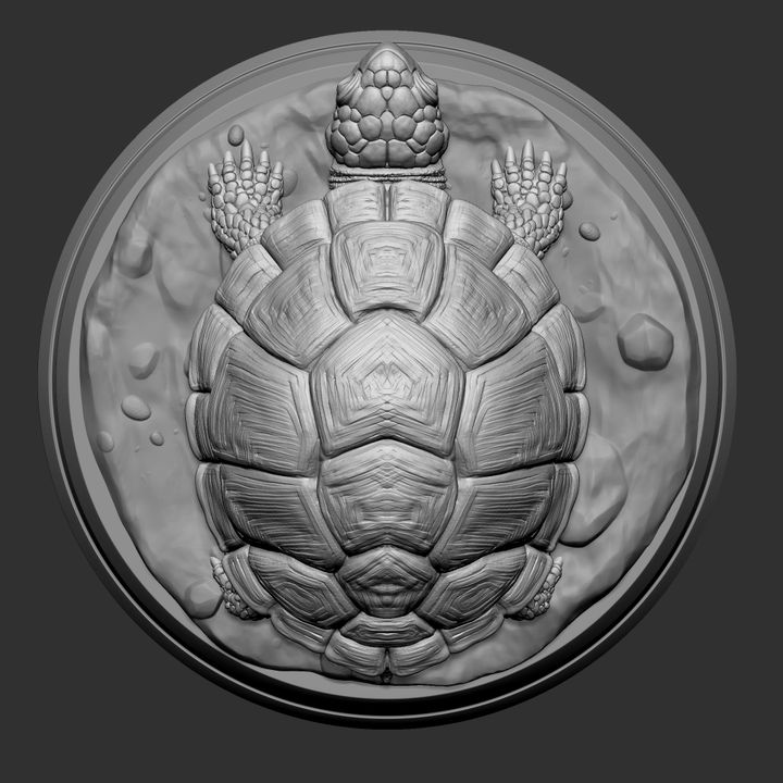 3D Printable Box Turtle by YD STUDIO