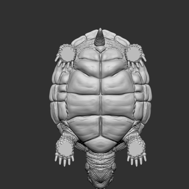3D Printable Box Turtle by YD STUDIO