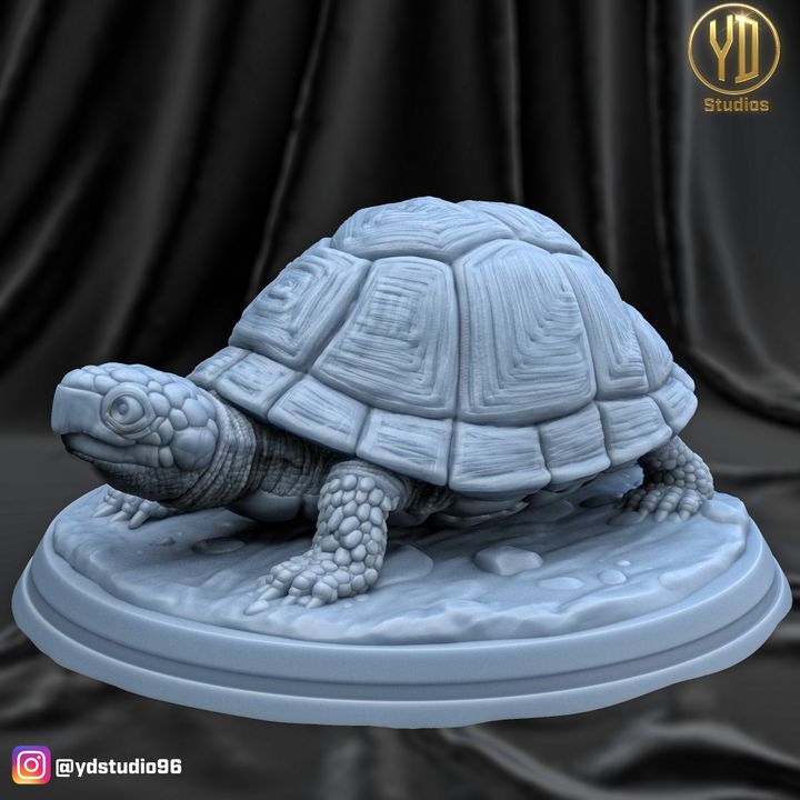 3D Printable Box Turtle by YD STUDIO