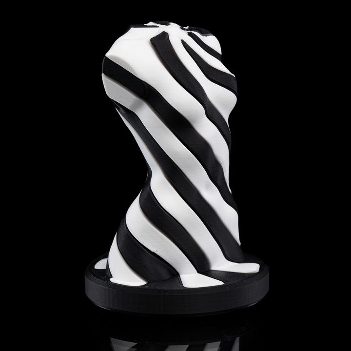 3D Printable Dizzy Lady by Stlflix