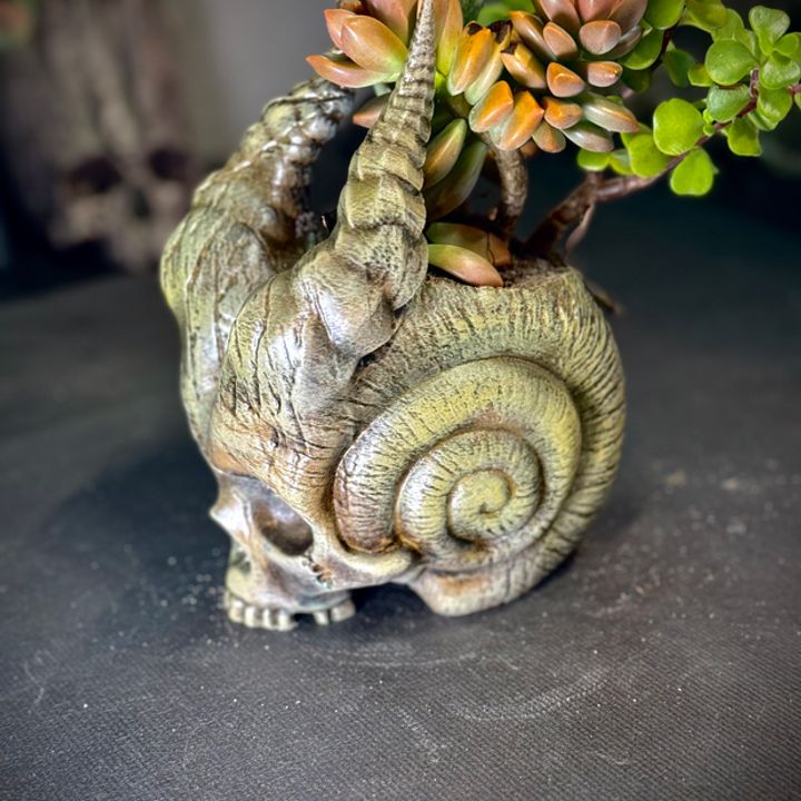 3D Printable Skull of the demon snail planter by Billy Hooper