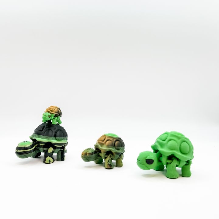 3D Printable M3D - Baby Tortoise by Meliora3D