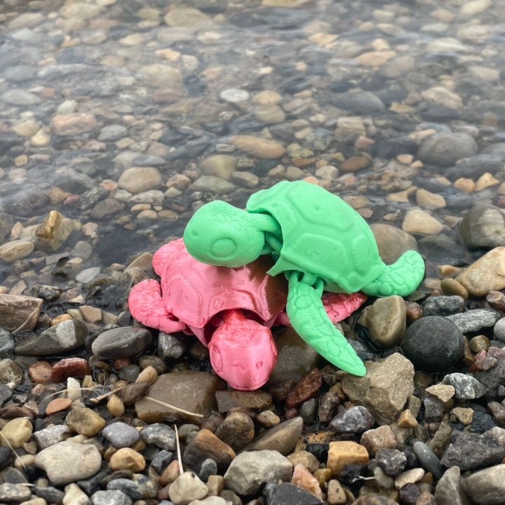 3D Printable baby articulated turtle by Ej prints