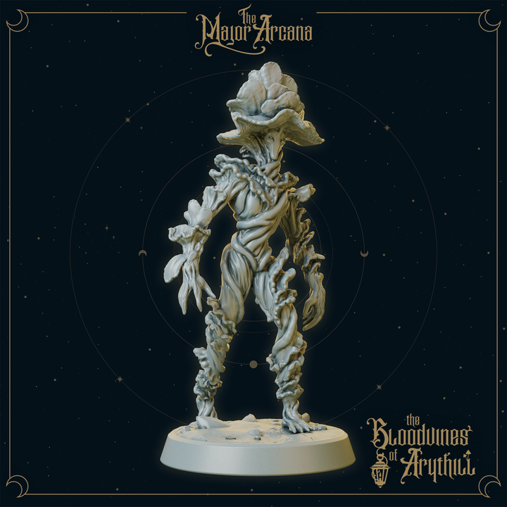 3D Printable Myconid - 3 Variants - Myconid, Undead by The Shattered Realms