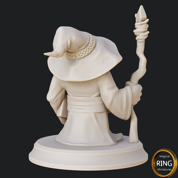 3D Printable Magician hero scale by MagicalRingMiniatures