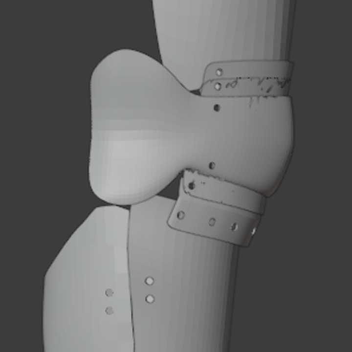 3D Printable Platelegs, Greaves, Poleyn, Cuisse by Brian