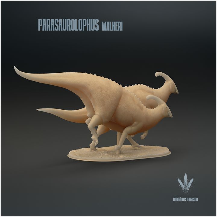 3D Printable Parasaurolophus walkeri : Run by Miniature Museum