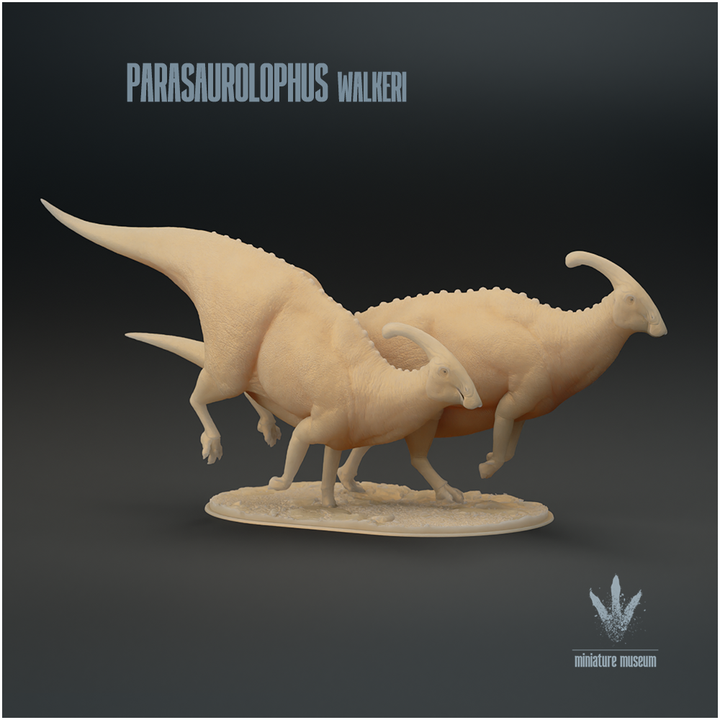 3D Printable Parasaurolophus walkeri : Run by Miniature Museum
