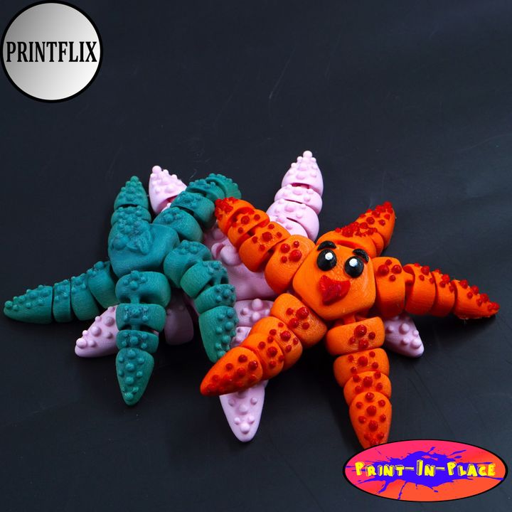 3D Printable Flexi StarFish by Printflix