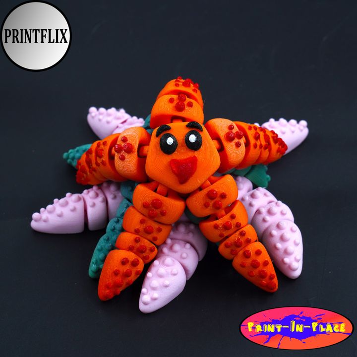 3D Printable Flexi StarFish by Printflix