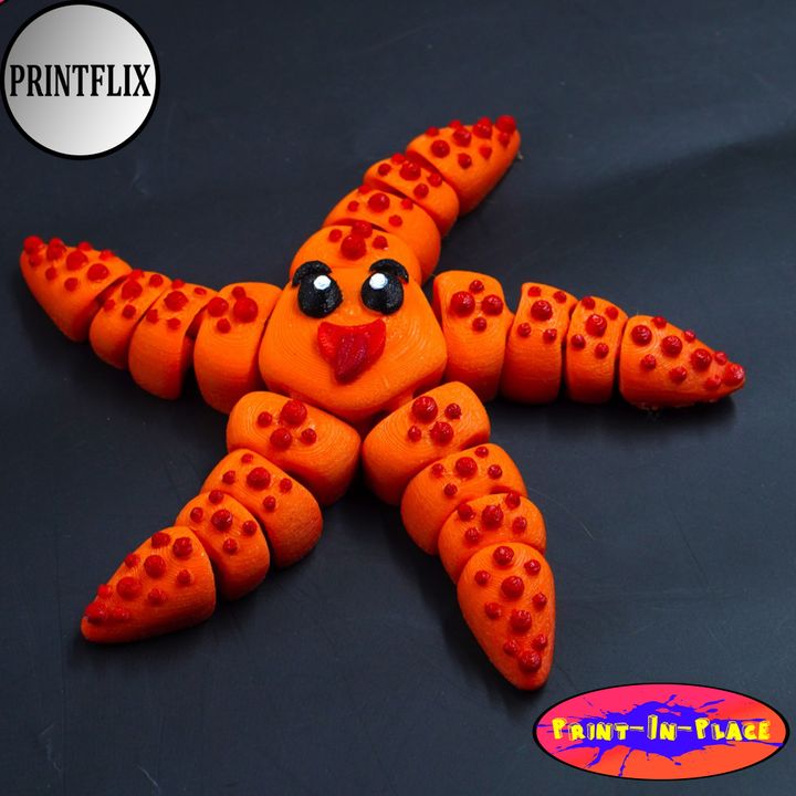 3D Printable Flexi StarFish by Printflix