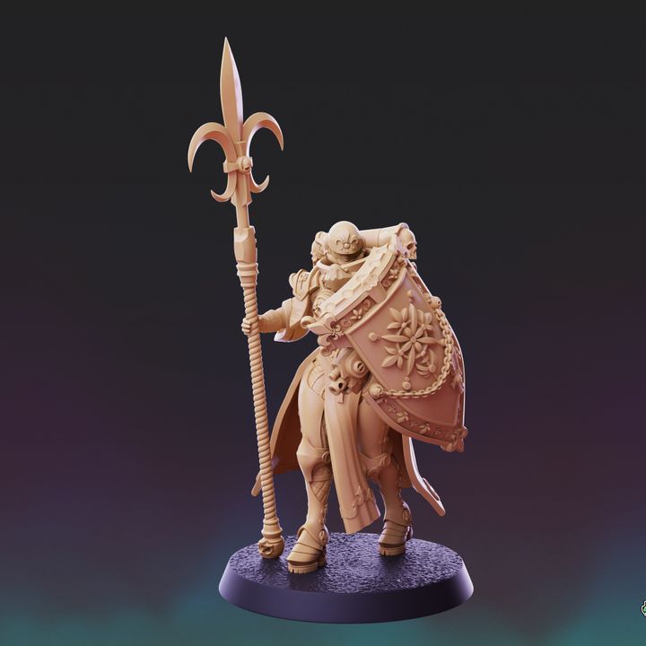 3D Printable Divine Order - Shieldmaiden Pose 2 by PSMiniatures