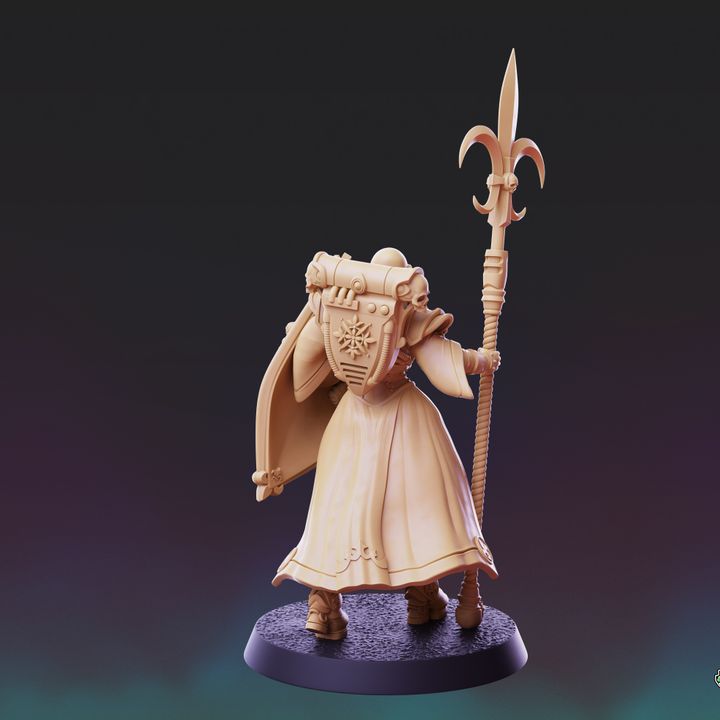 3D Printable Divine Order - Shieldmaiden Pose 2 by PSMiniatures