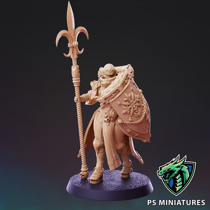 3D Printable Divine Order - Shieldmaiden Pose 2 by PSMiniatures