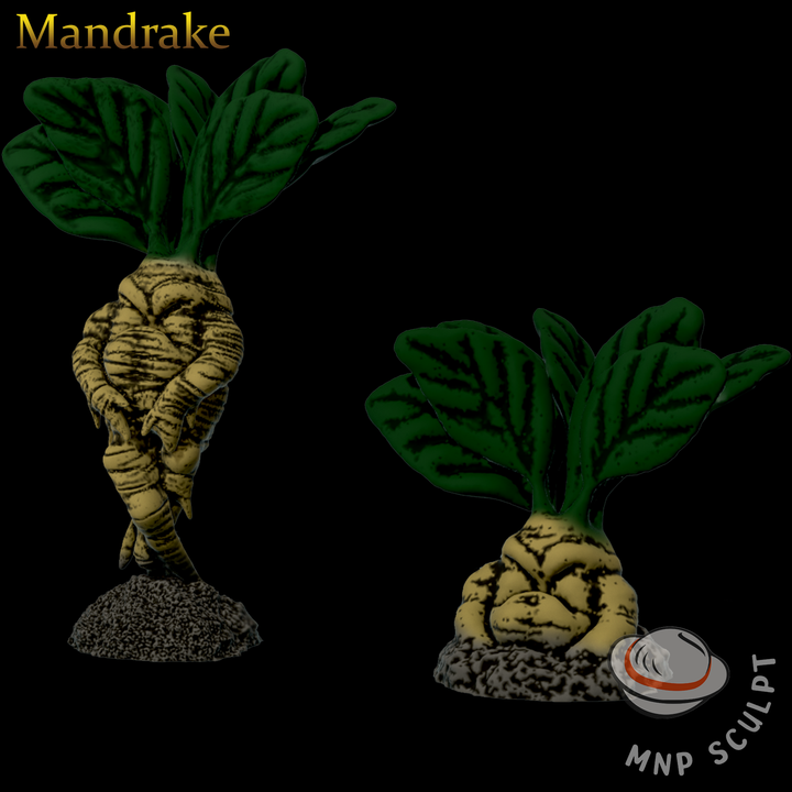 3D Printable Mandrake by MNP Sculpt