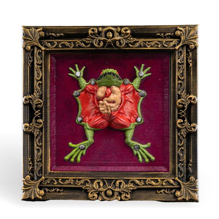 3D Printable Dissected Frog by Stlflix