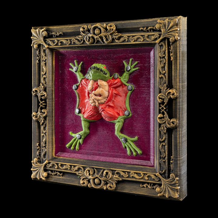 3D Printable Dissected Frog by Stlflix