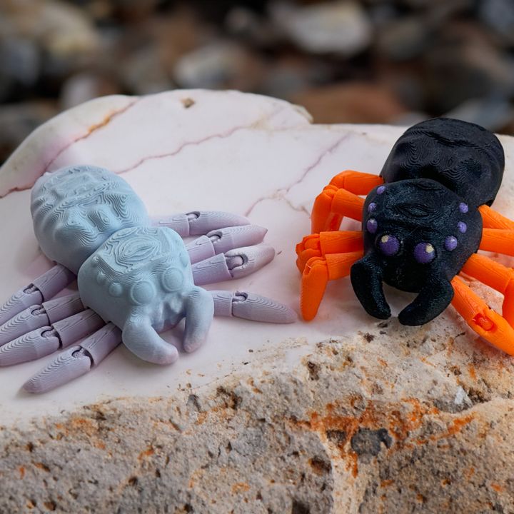 3D Printable Skeletorus Jumping Spider by Teal Cat Creative