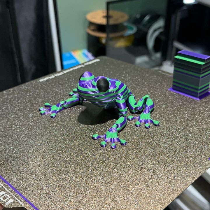 3D Printable Articulated Zebra 🦓 Frog 🐸 Multi part by MELS 3D LABS