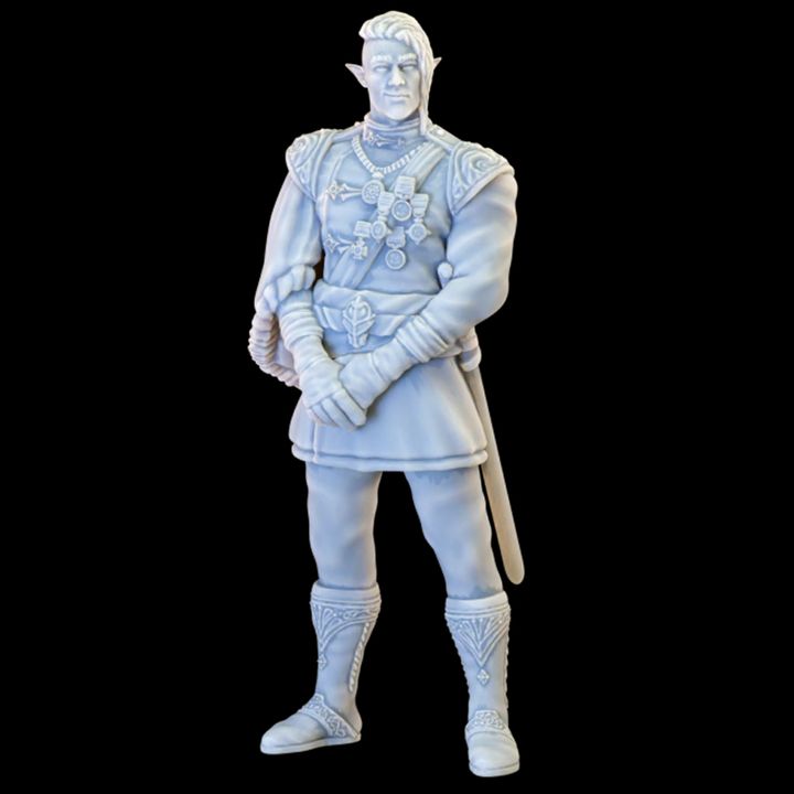 3D Printable Elf Officer - Guards and Generals Kickstarter by ...