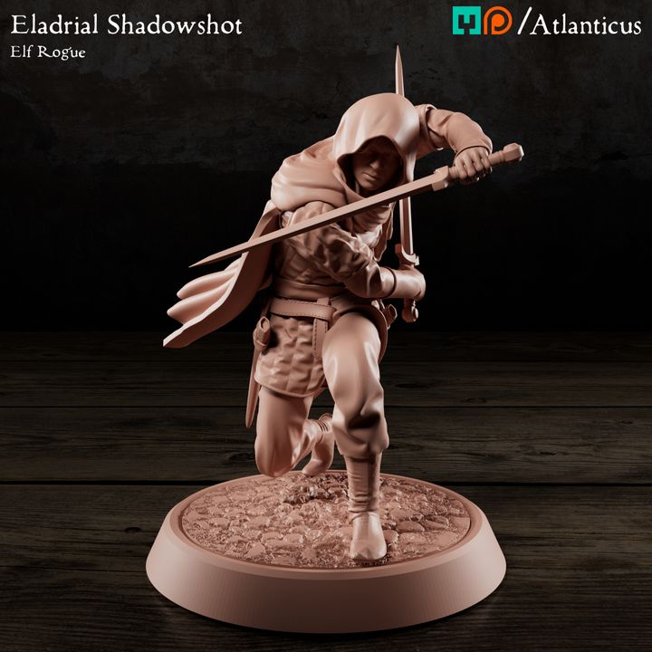 3D Printable Male Elf Rogue - Eladrial Shadowshot - Shortswords by ...