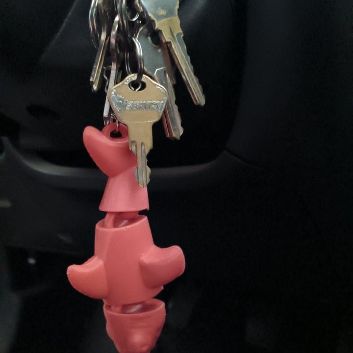3D Printable Flexi Shark Keychain - print in place by tim