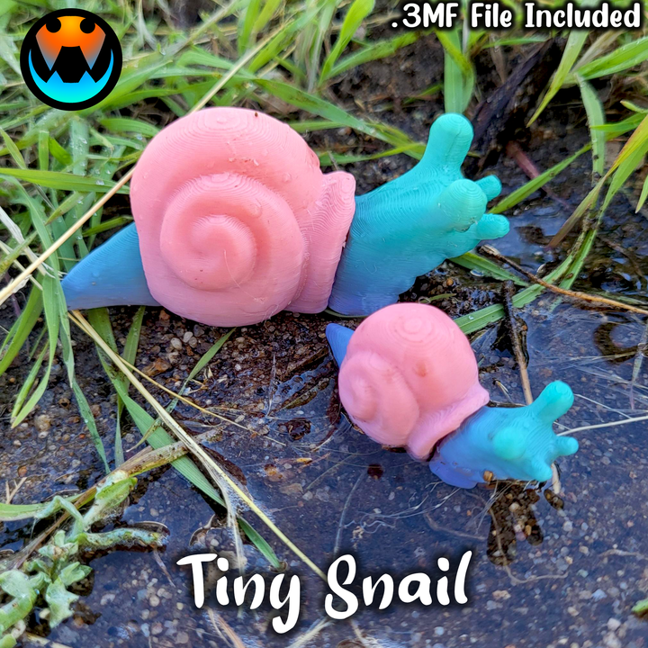 3D Printable Tiny Snail by Cinderwing3D