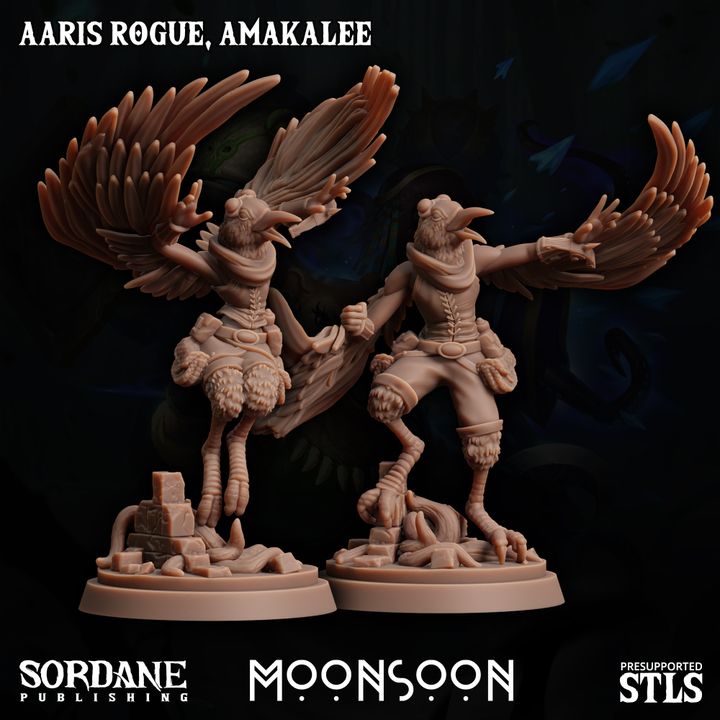 3D Printable Moonsoon - Aaris Rogue, Amakalee by Sordane Publishing