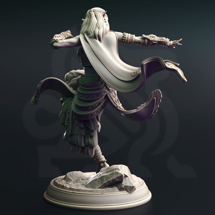 3D Printable Elf Sun Soul Monk - Cahira by DM Stash