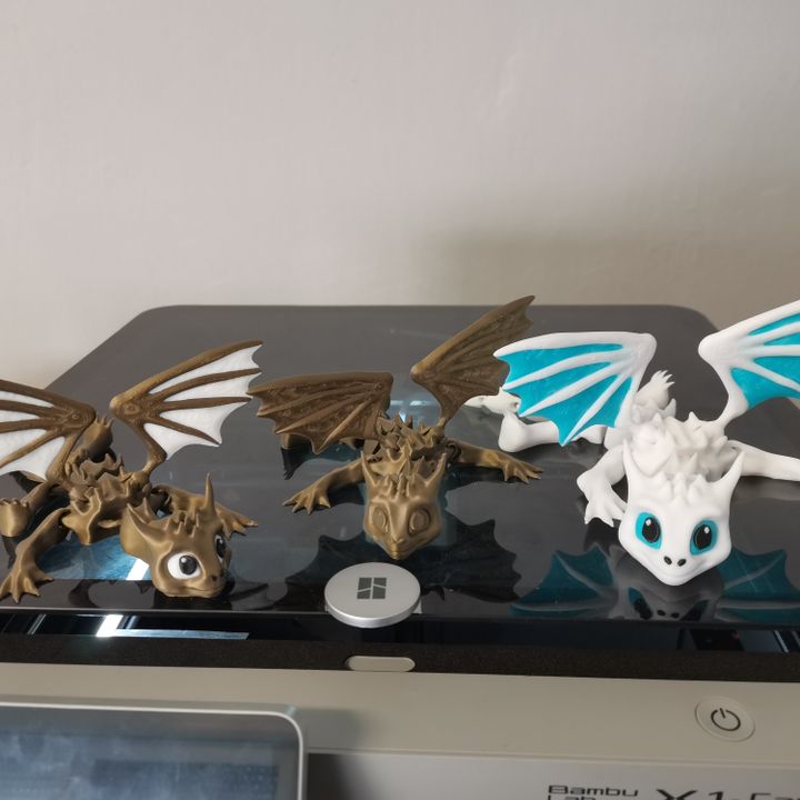 3D Printable Cute multicolor articulated dragon by BT3D&DeusCat