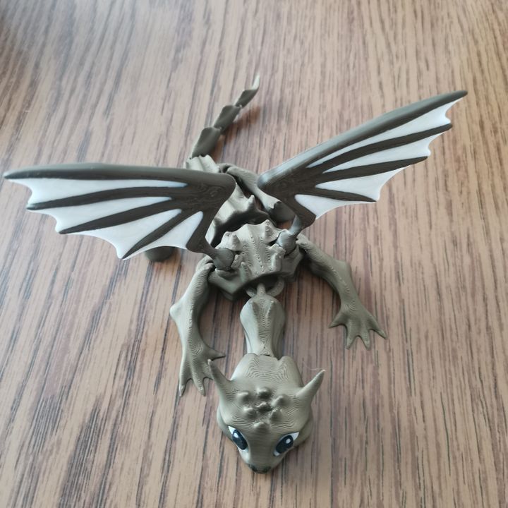 3D Printable Cute multicolor articulated dragon by BT3D&DeusCat