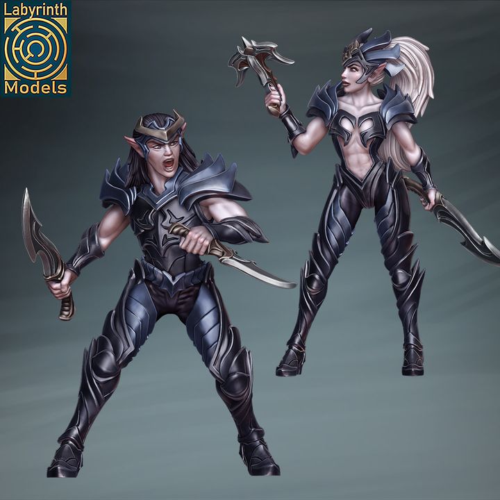 3D Printable Dark Elf Assassins - 32mm scale by Labyrinth Models