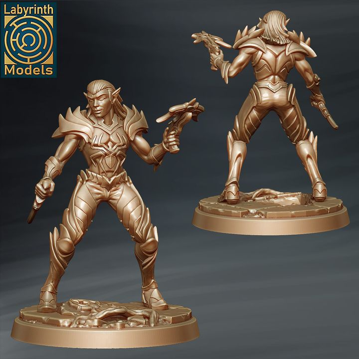 3D Printable Dark Elf Assassins - 32mm scale by Labyrinth Models