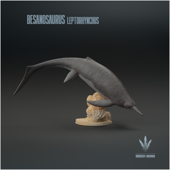 3D Printable Besanosaurus leptorhynchus : The Reptile from Besano by ...