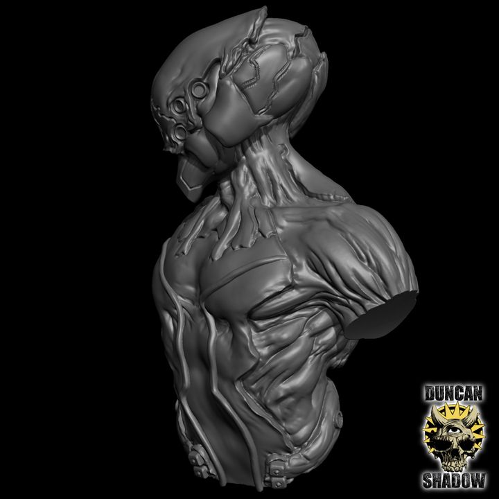 3D Printable Bio Morph Bust by Duncan Shadow