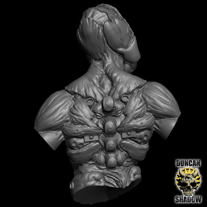 3D Printable Bio Morph Bust by Duncan Shadow
